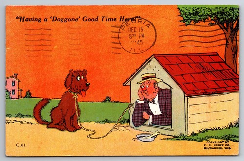 Vintage Postcard Funny Humor Cartoon Man in Dog House c1945 | eBay UK