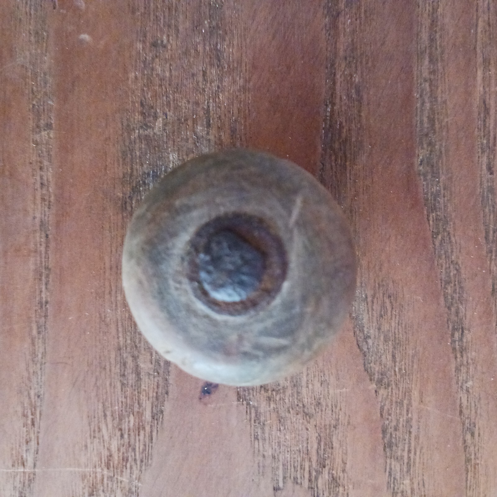 Antique Four-Gallon Bent Wood Churn No. 2 By M. Brown & Co Wapakometa ...