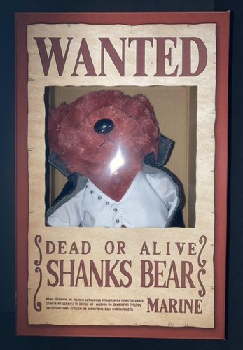 Movie ONE PIECE Shanks Teddy Bear FILM RED R Plush Doll Japan Import | eBay
