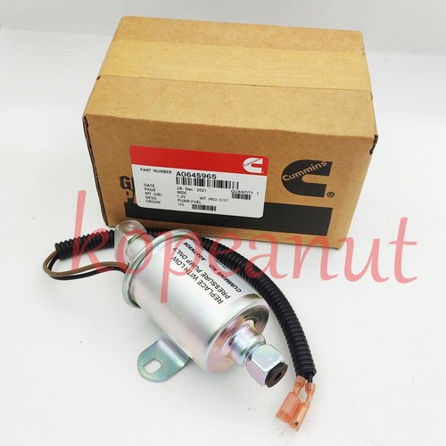 E11015 Electrical Fuel Pump A029F887 A047N929 For Onan 5500 5.5KW Gas ...