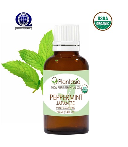 Peppermint Japan Organic Essential Oil 100% Pure Therapeutic India by ...
