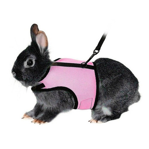 Harness with Lead for Rabbits Bunny - Size XL(Pink) Bunny Harness | eBay