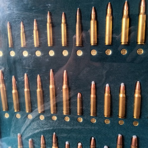 Tatonka Cartridge Co. Common Cartridges Display "Inert" Cannot Be Fired ...