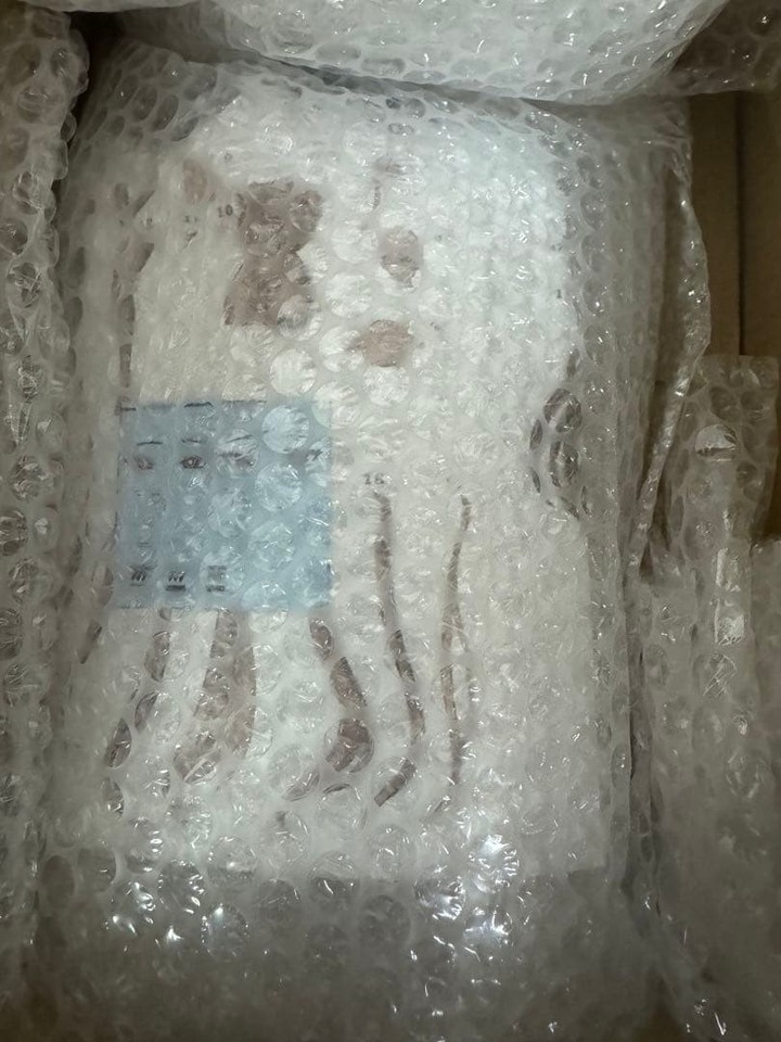 WF2025 Blue Archive Rio Shigetsuki Garage Kit Wonder Festival 2025 ...