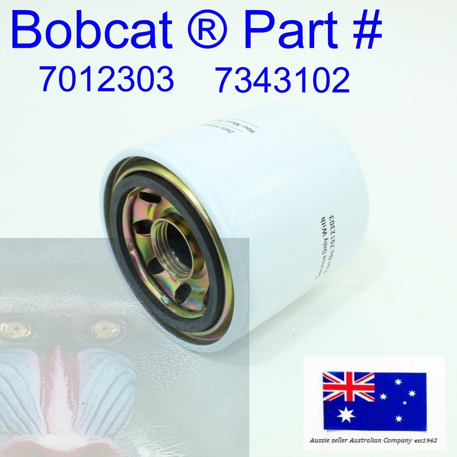 fits Bobcat Engine Oil Filter 7012303 7343102 T86 T870 L65 L75 L85 5600 ...