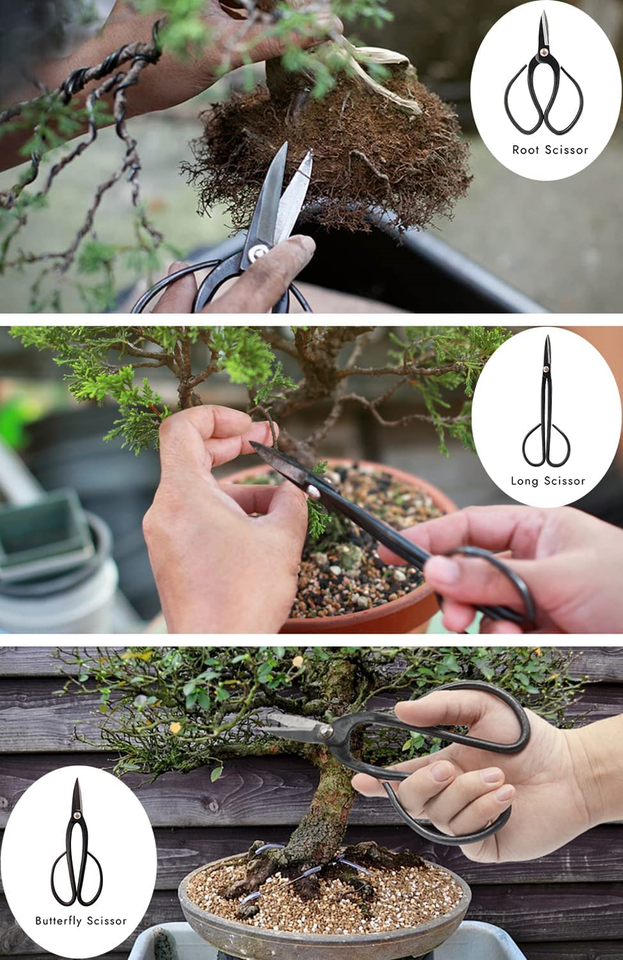 Bonsai Tree Tools Kit - 22 Pcs Bonsai Care Kit for Beginner, Bonsai ...