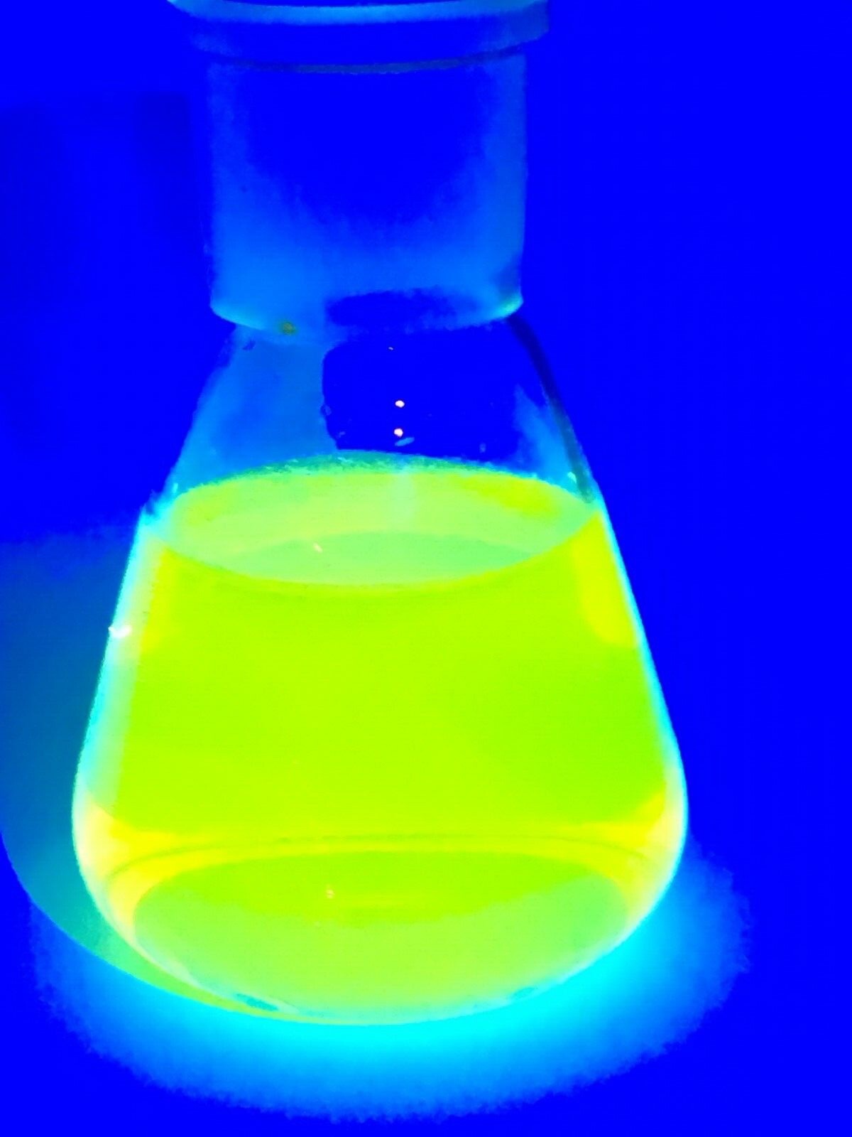 15 g Fluorescein zur Wasserfärbung Wasserfärbemittel Uranin Lecksuche ...