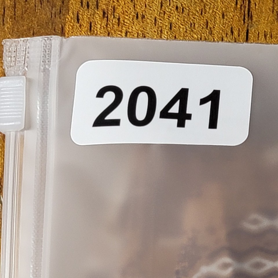 Pendleton Shirt Men's Size Large Laramie Aztec South Western Pearl Snap ...