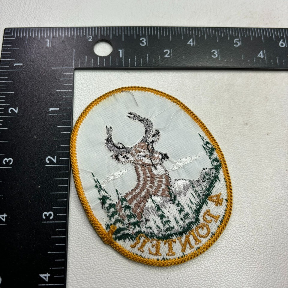 DEER HUNTING HUNT HUNTER 4 POINTER DEER WILDLIFE Patch 49WN | eBay