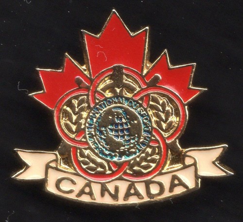 INTERNATIONAL MILITARY SPORTS COUNCIL. CANADA MILITARY PIN | eBay