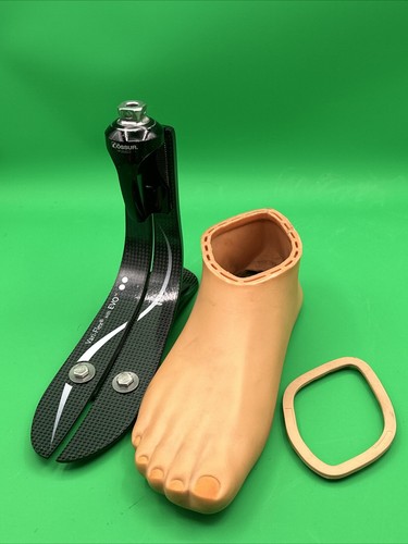 Ossur Vari-flex Variflex prosthetic Foot Sz 25 Category 2 Great ...