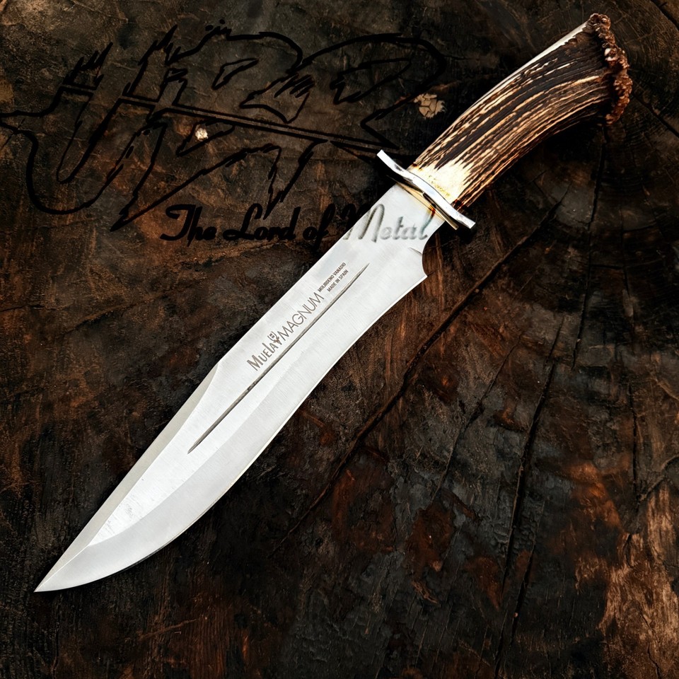 UBR CUSTOM HANDMADE D2 STEEL muela magnum bowie knife WITH STAG HORN ...