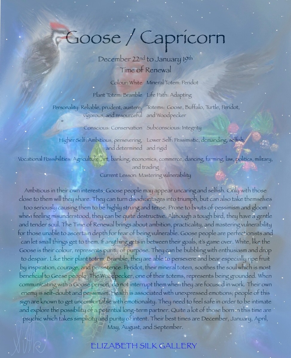 Native american zodiac goose 60 photos - Astrologytoyou.com