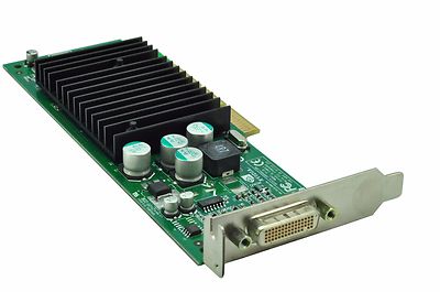 Dell Nvidia P118 N11071 Video Card G0170 AGP DVI | eBay