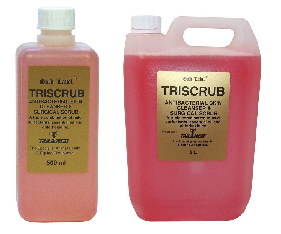 Gold Label Triscrub ALL SIZES antibacterial skin cleanser and surgical ...