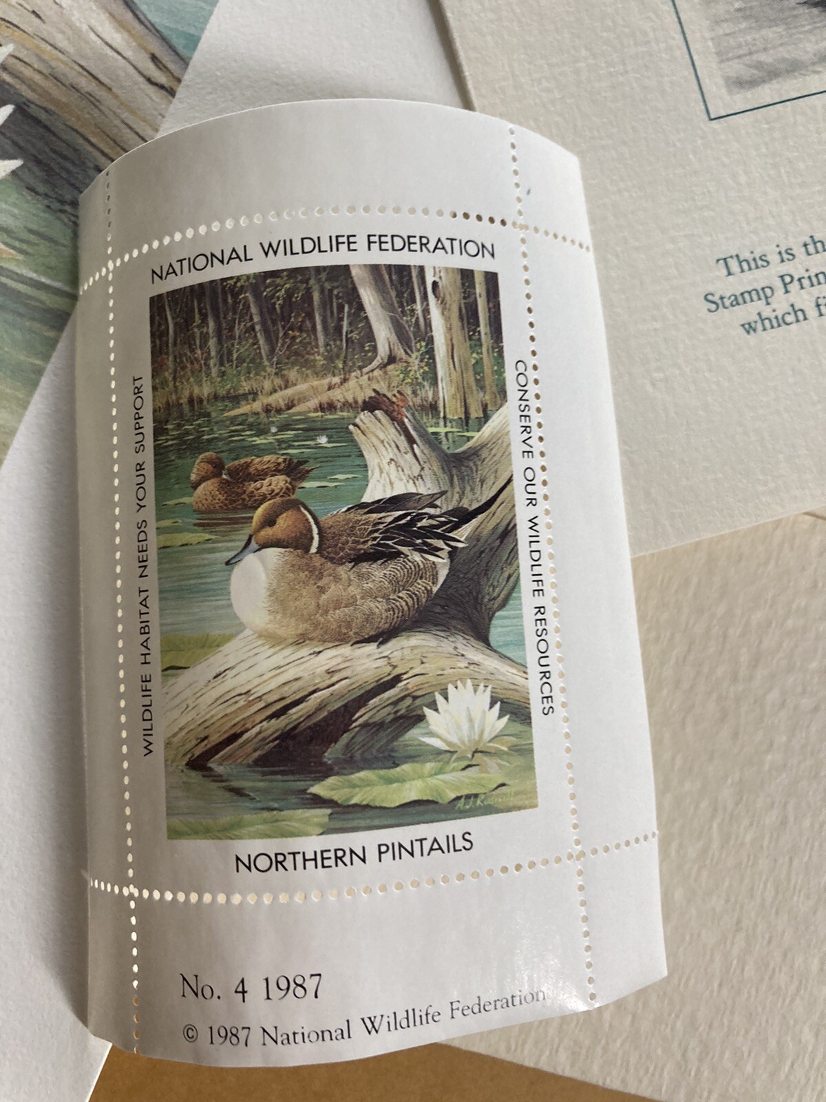 national wildlife federation duck stamp 1987 | eBay