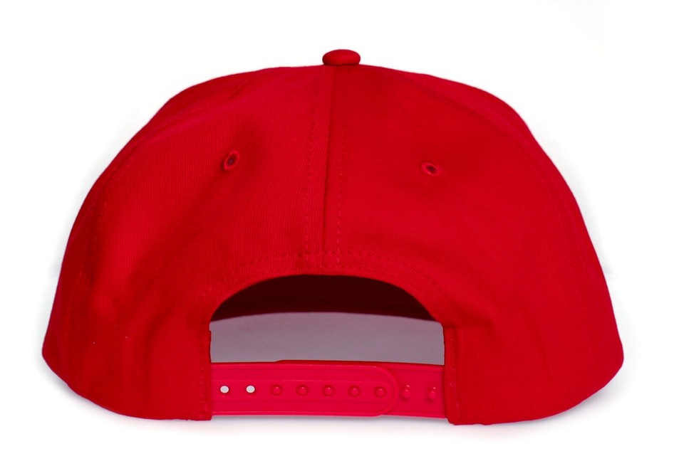 Parmalat Hat F1 Racing Car Team Niki Lauda Embroidered Cap Flat Red | eBay