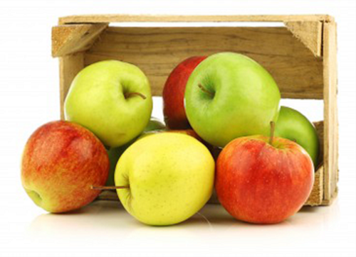 10+ All type Apple Tree Seeds Planting Fuji Gala Crisp Pink Lady Gold ...