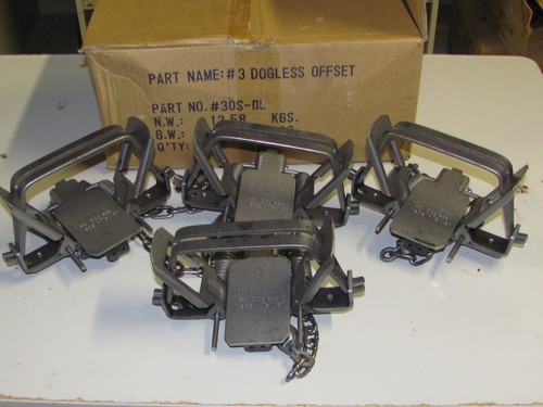 4 Bridger # 3 Offset Dogless 2 Coil Spring Foothold Traps Coyote Fox ...