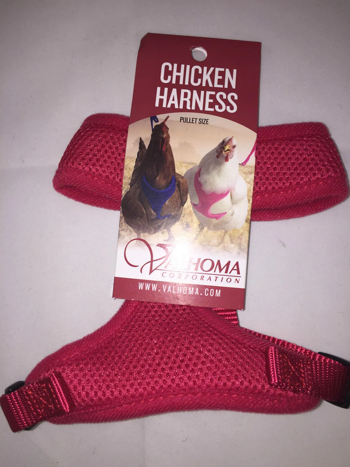 Original Valhoma Chicken Harness and/or Leash Bright Fun Color Pet Duck ...