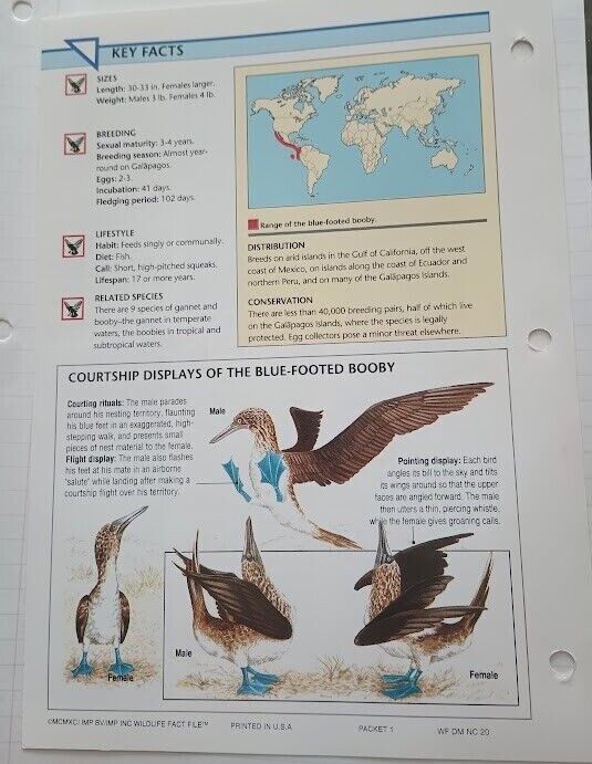 Wild Fact-File Group 2 Birds #14 | eBay