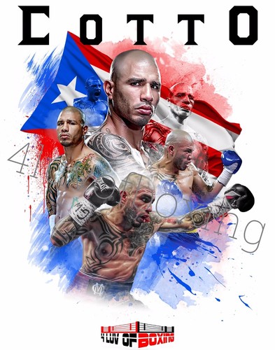 Miguel Cotto Boxing 11x17 Poster 4LUVofBOXING WH New PR | eBay