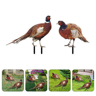 Set of 2 Chicken Garden Ornaments | Lifelike Pheasant Garden Stake ...