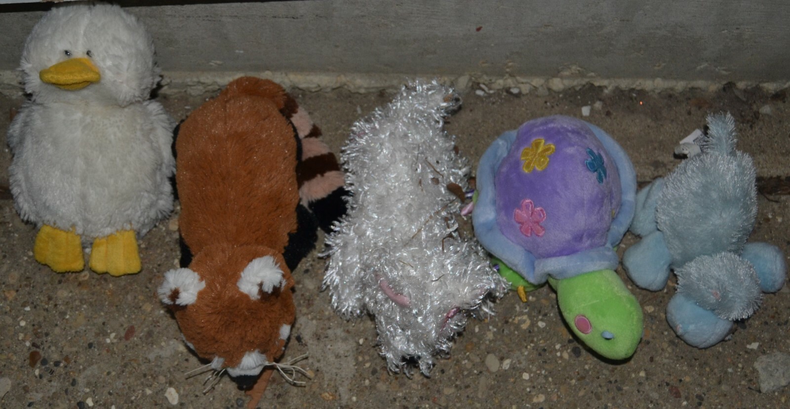 Ganz Webkinz Lot of 5 Duckling Raccoon Turtle Dogs | eBay