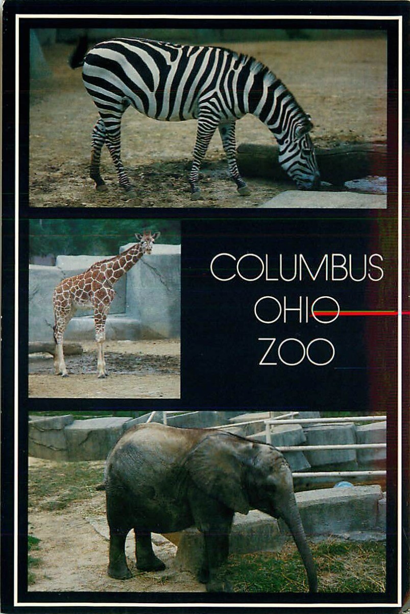 Postcard 3 Views at the Columbus Zoo, Columbus, Ohio - Zebra, Elephant ...
