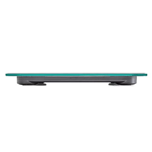 Talking Scales - Clear Loud North American Voice, Big Numbers Stylish ...