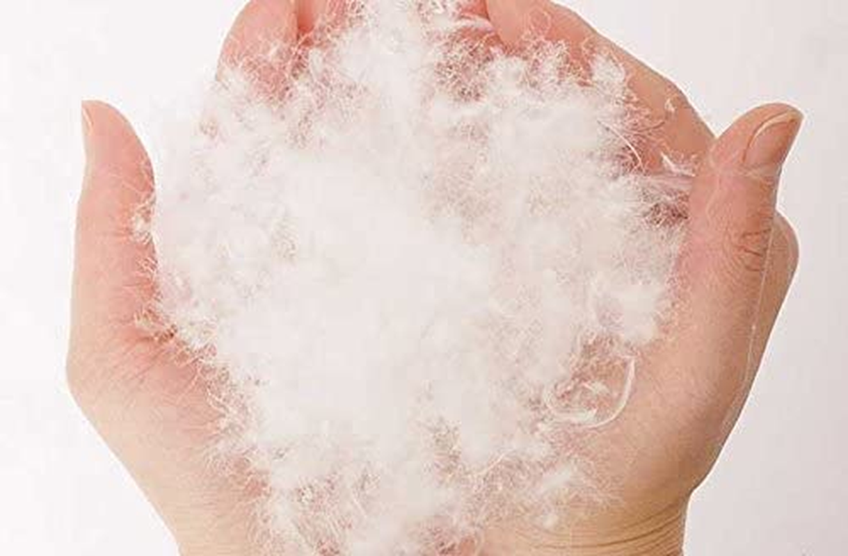 Bulk Goose down Filling 80/20 Natural White down Feather Fill Stuffing ...