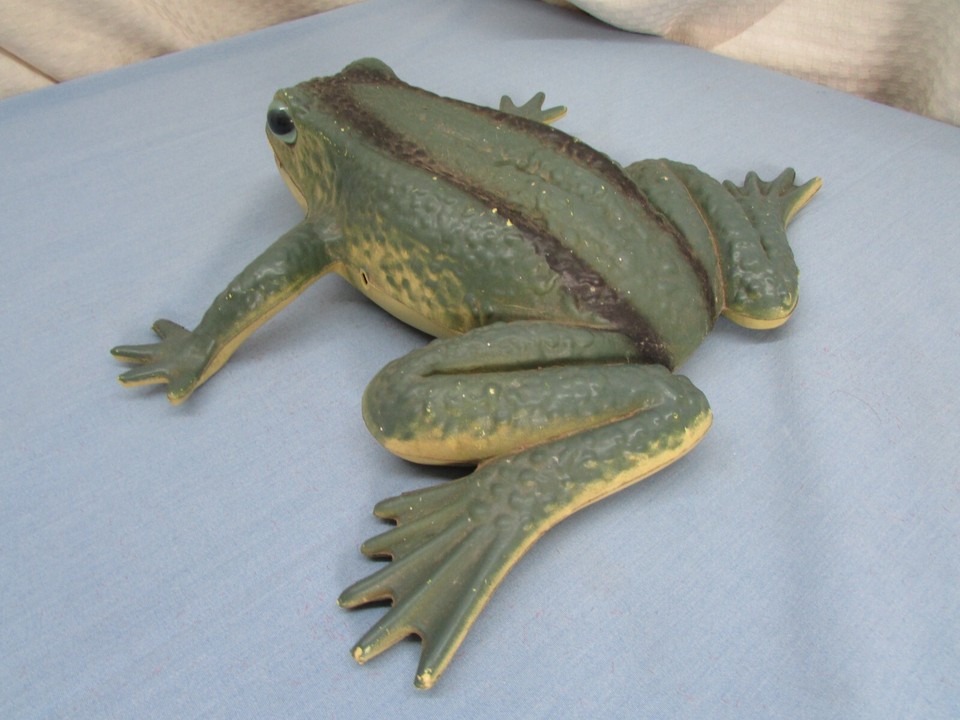 Croaking Frog With Motion Activated Sensor | eBay