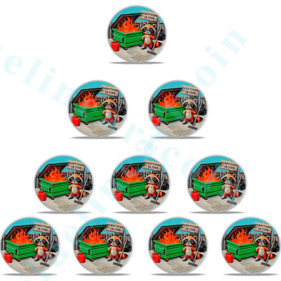 10Pcs Funny Racoon Challenge Coin, Dumpster Fire Coin, Humor Thanks ...