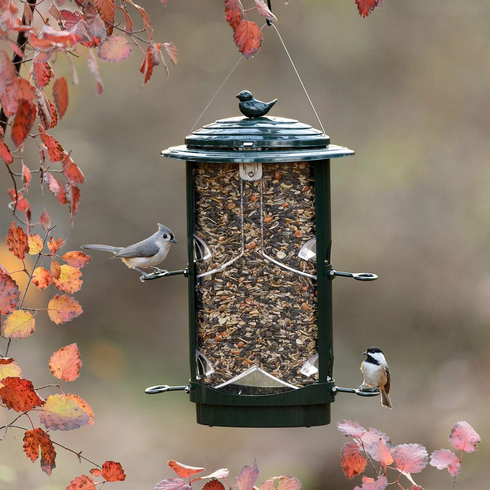 Jagunda Squirrel-proofwith Auger Bird Feeder | bird-feeder.org