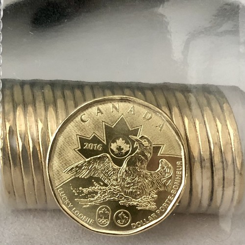 Canada 2016 Lucky Loonie $1 Dollar Rio Olympic - BU UNC - New From Mint ...