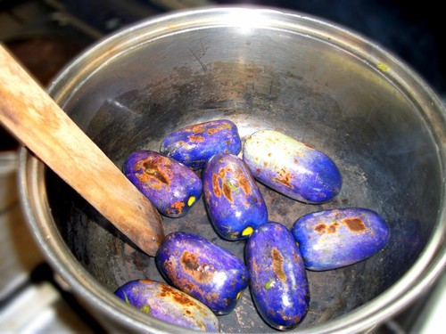 ~Safou~ Bush Plum Dacryodes edulis African Fruit Tree Live Potd Plant ...