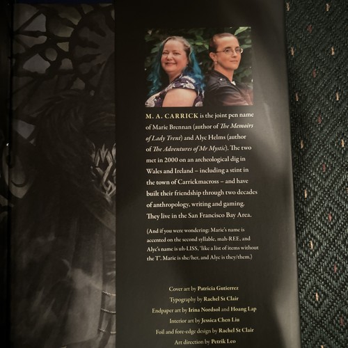 The Broken Binding Mask of Mirrors Set / Rook & Rose By M.A. Carrick ...