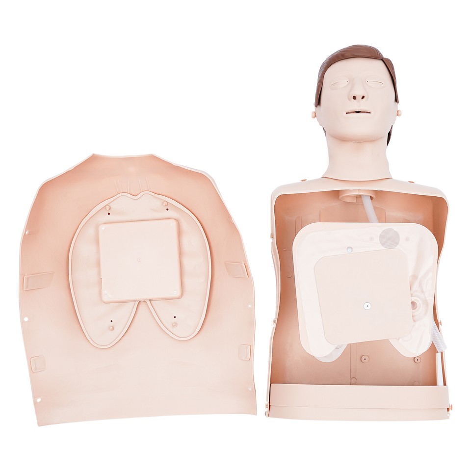 Adult CPR Adult Manikin for First Aid Training Patient Education ...