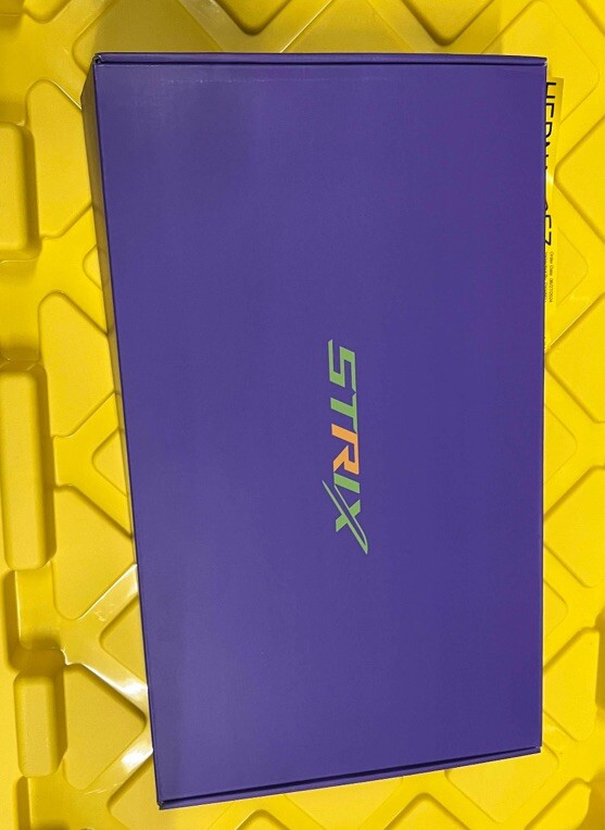 ASUS GeForce RTX 3090 ROG Strix O24G Evangelion Edition RARE GPU | eBay