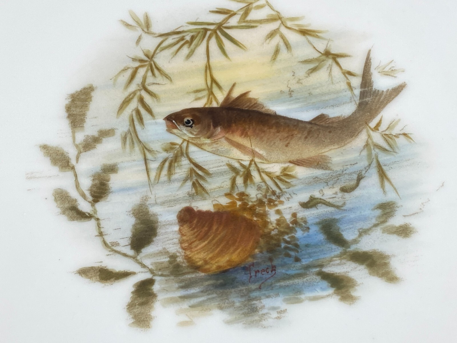 Set of 5 Designs ~ Gilman Collamore & Co New York" FISH" Cabinet Plates ...