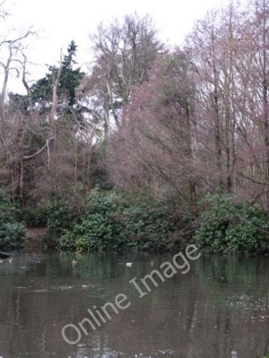 Photo 6x4 Lake at the northern end of Lake Wood (3) Keston c2011 | eBay UK