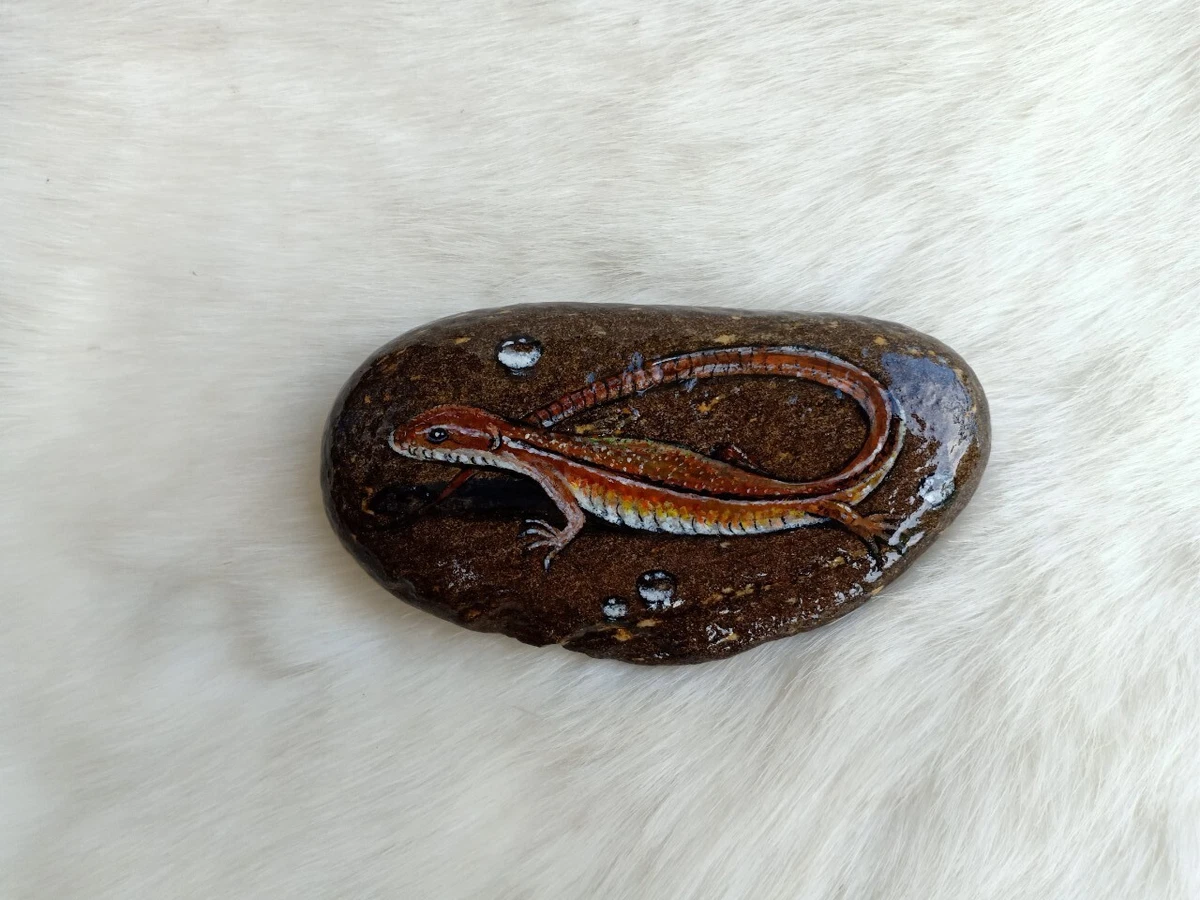 Lizard Painted On Rocks