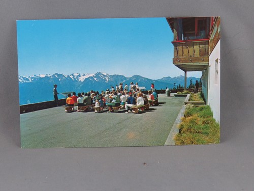 Vintage Postcard - Naturalist Program Hurricane Ridge - National Park ...