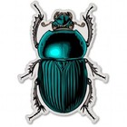 Beetle Bug Insect Nature Science Car Vinyl Sticker - SELECT SIZE | eBay UK