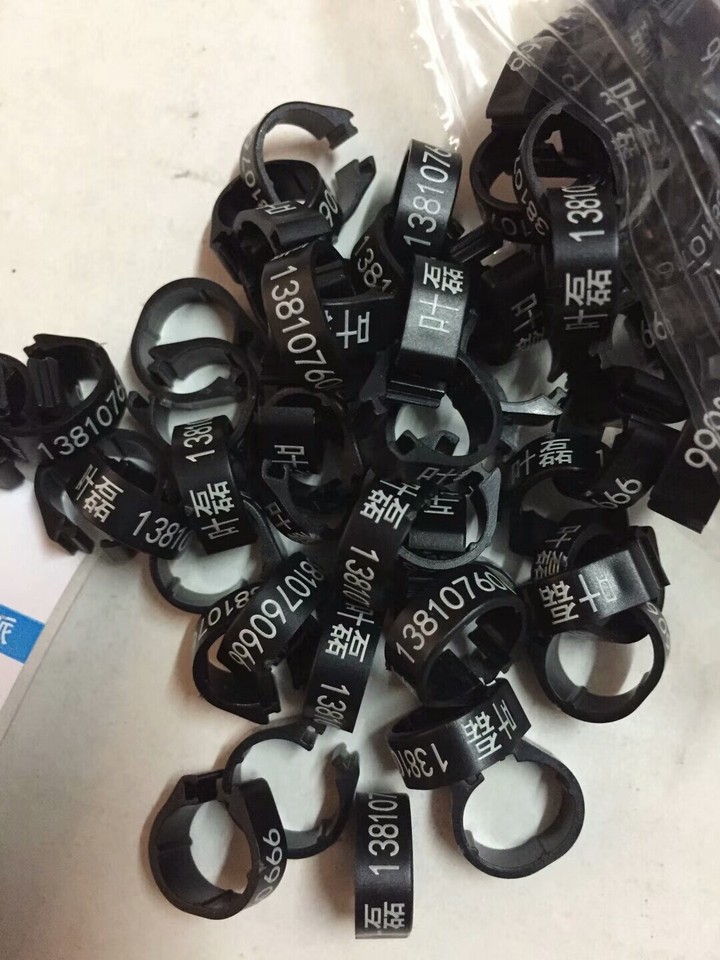 Customized Personalized Plastic Rings Poultry Leg Bands Bird Pigeon ...