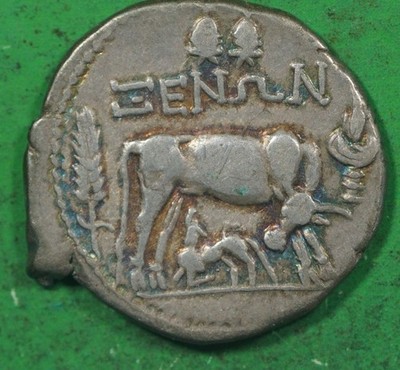Illyria Dyrrhachium ar18 Drachm Coin SUCKLING COW & STELLATE @2734 | eBay