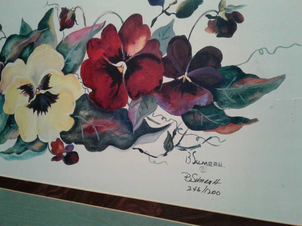Large Framed Water Color Print by B. Sumrall Signed & Numbered | eBay
