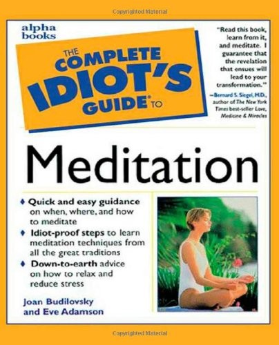 THE COMPLETE IDIOT'S GUIDE TO MEDITATION By Joan;adamson Budilovsky ...