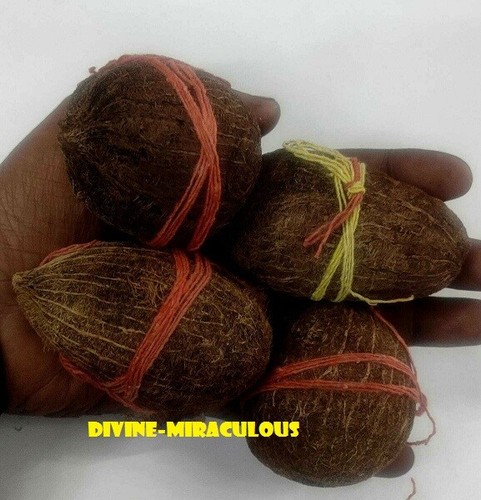 Goddess Lakshmi Symbol One Eye 4 Blessed Coconut MONEY WEALTH HEALTH ...
