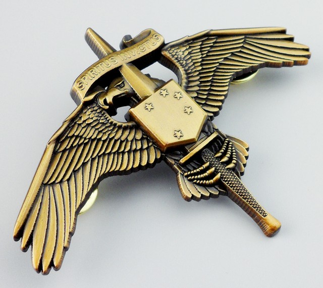 US Marine Raider Insignia USMC Special Operations MARSOC Badge Pin | eBay